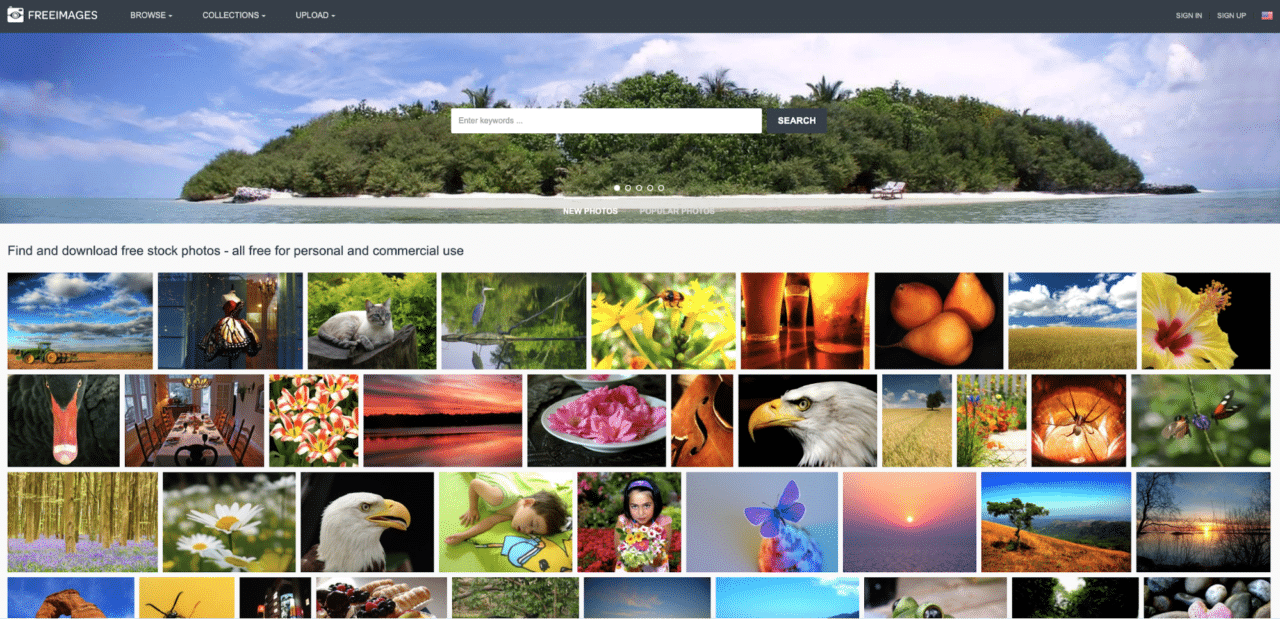 15 Best Free Image Hosting Sites To Use in 2021 | Solvid