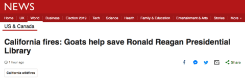 How To Write a News Article (+4 Tools, Examples & Template) | Solvid